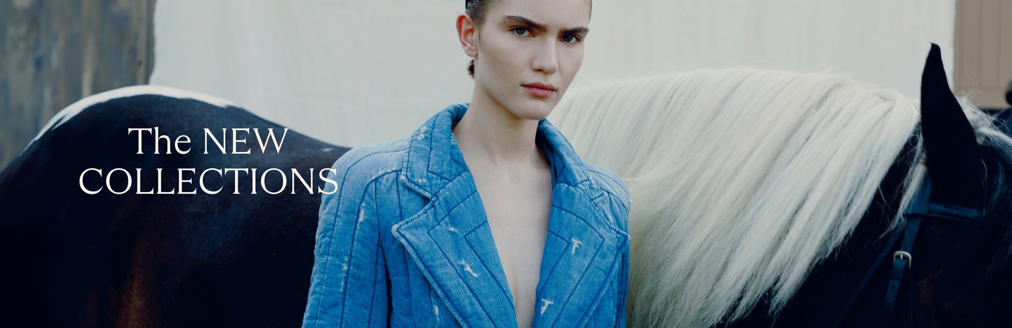 The New Collections | Moda Operandi